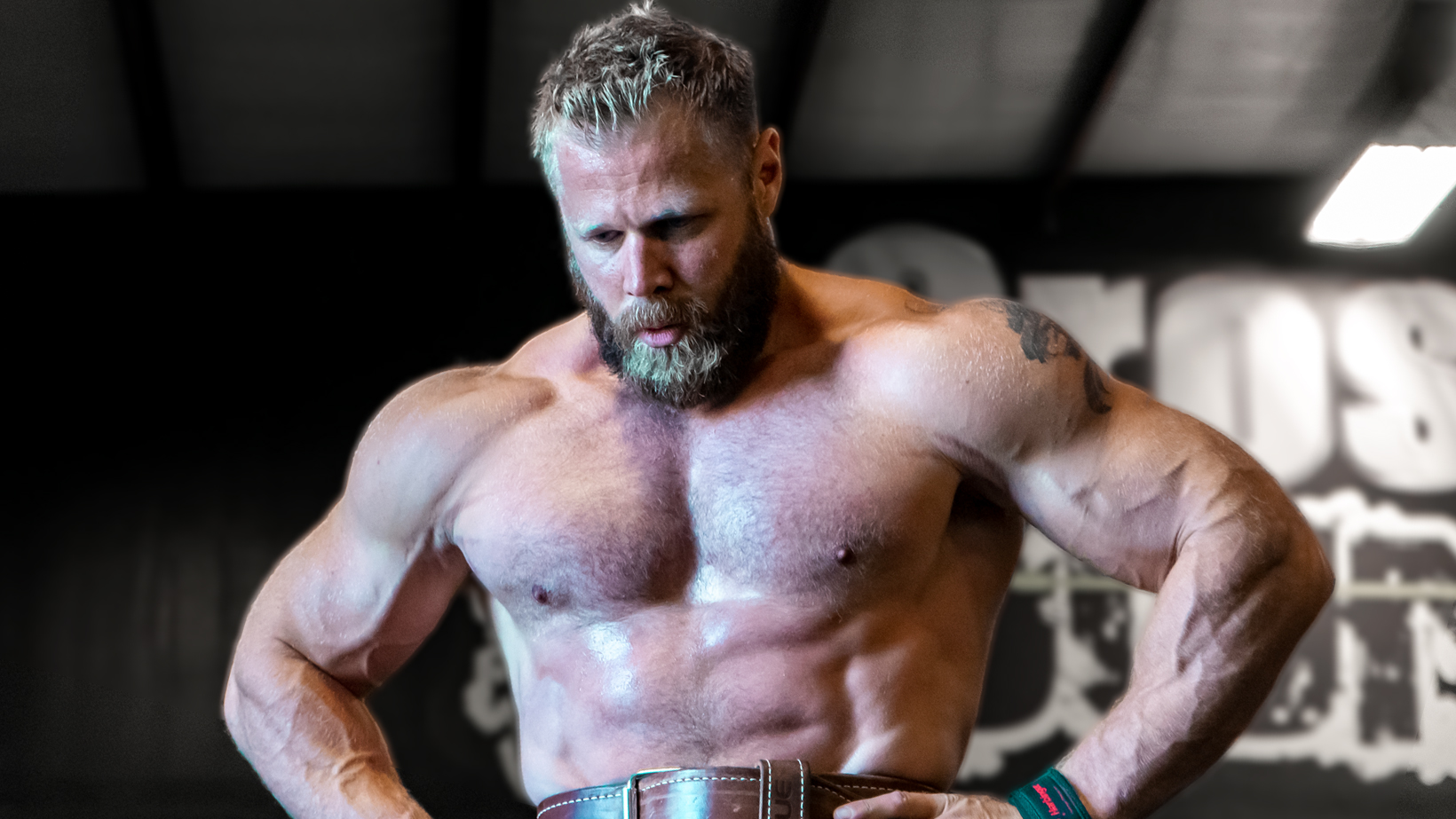 Eat Big To Get Big: Nutrition For Muscle Hypertrophy — Nutrex Research