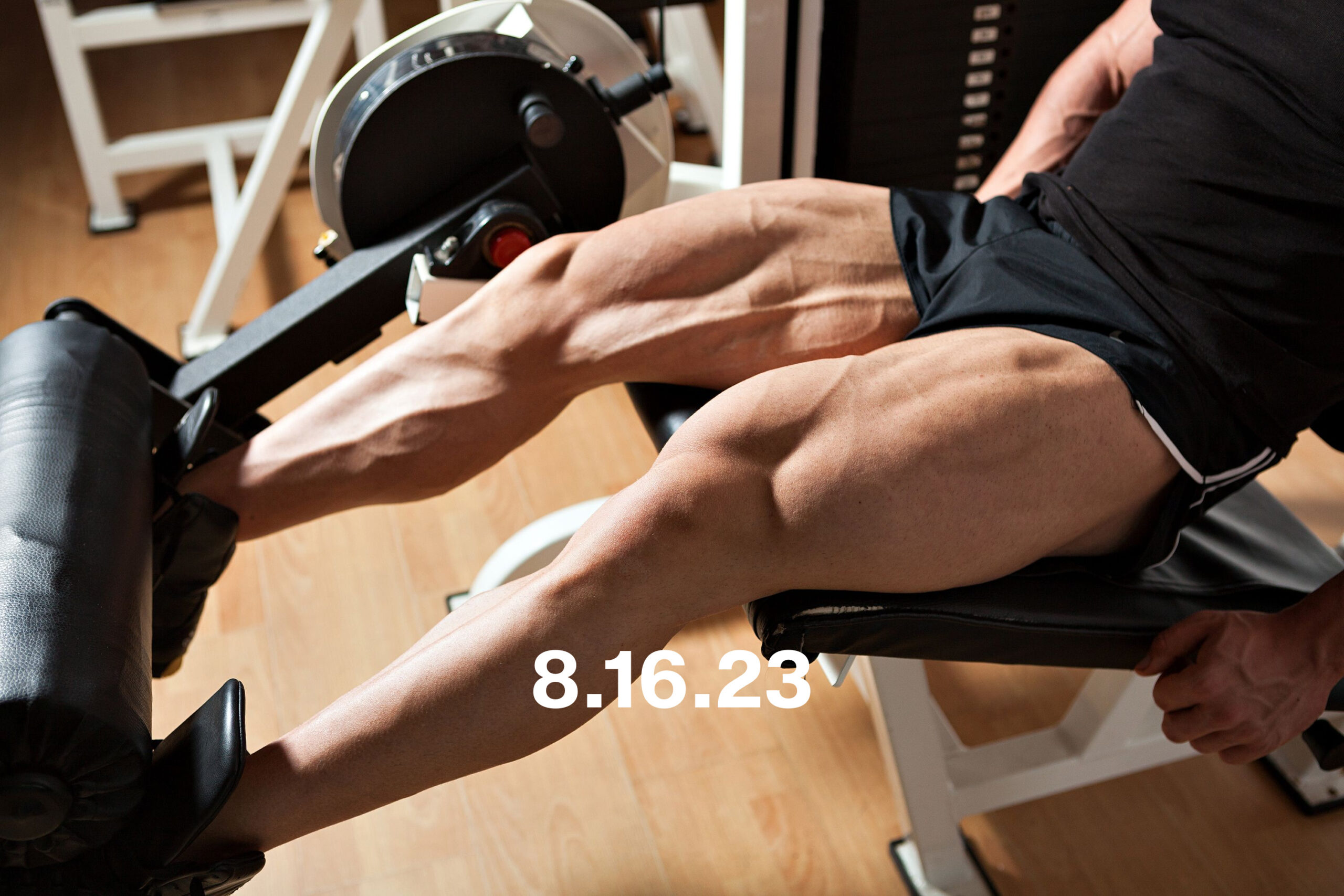 The ULTIMATE Quad Workout