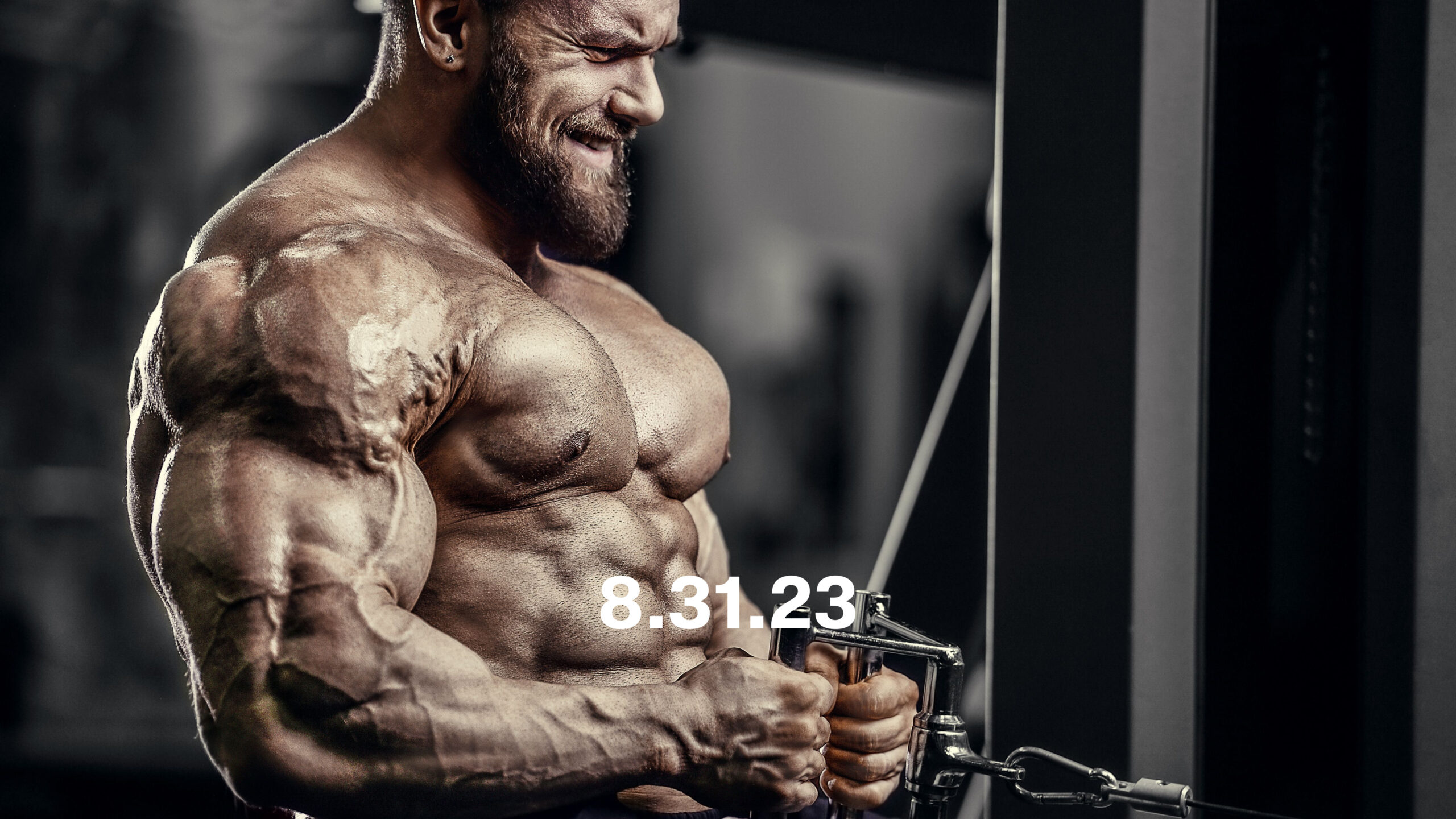 The ULTIMATE Shoulder Blaster Workout